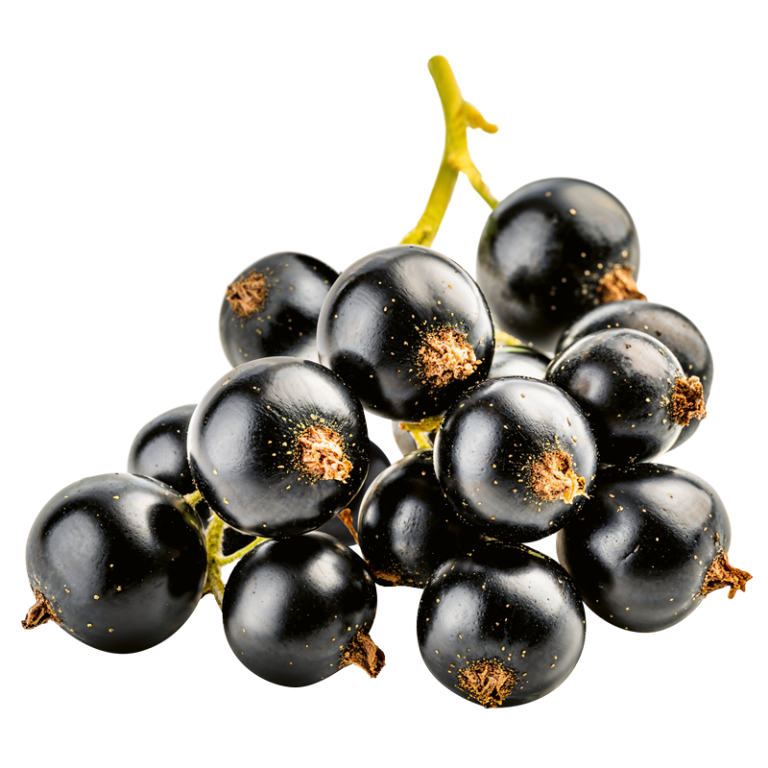 Blackcurrant - Capfruit