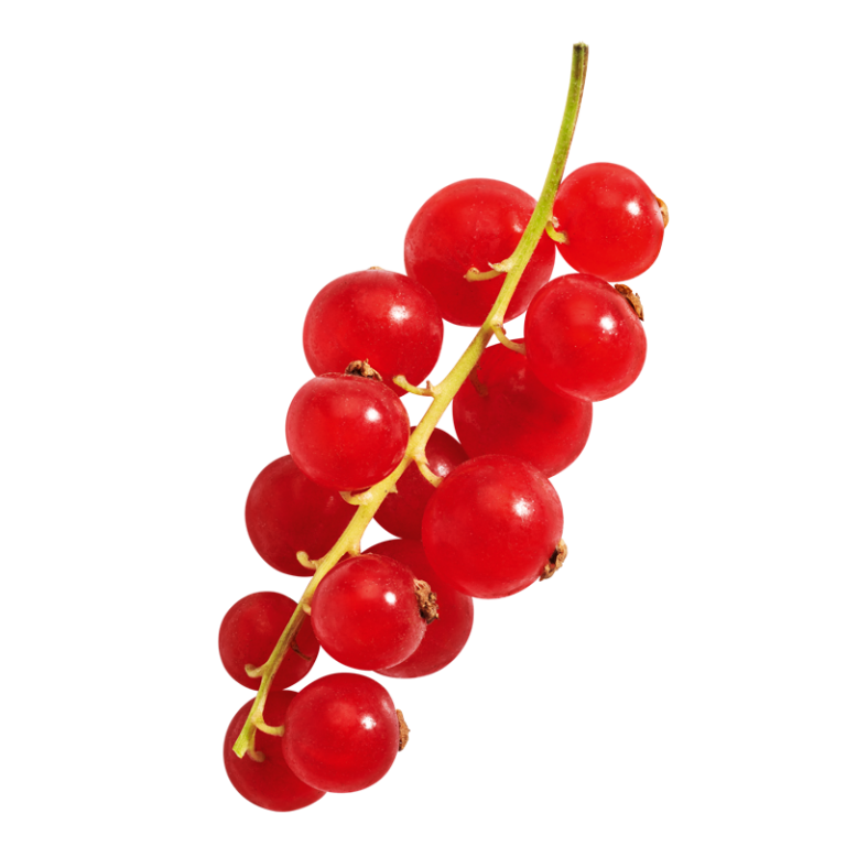 Groseille - Capfruit