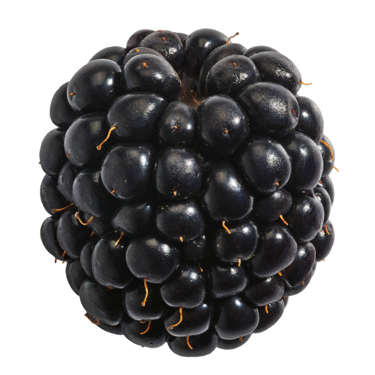 Blackberry - Capfruit
