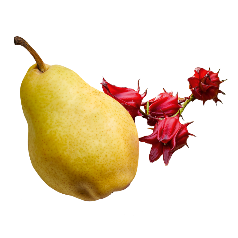 Archives des Our Creations - Capfruit