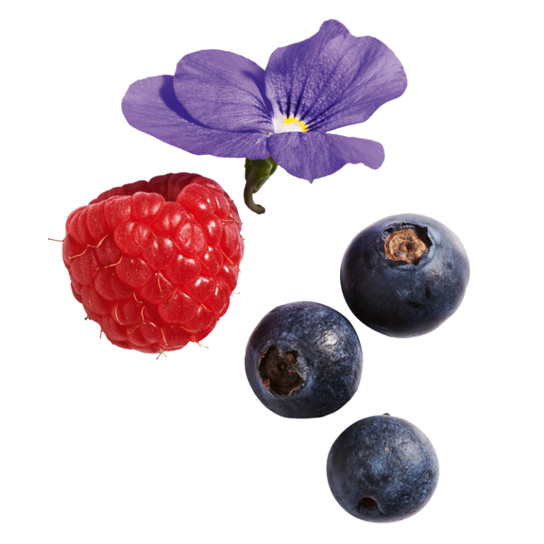 Berriolette - Capfruit