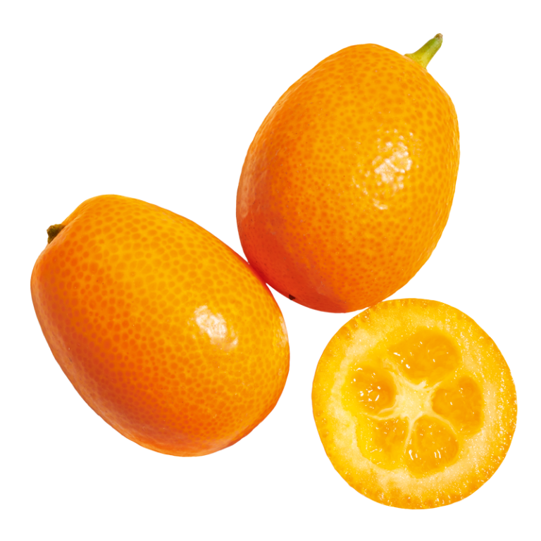 Kumquat - Capfruit
