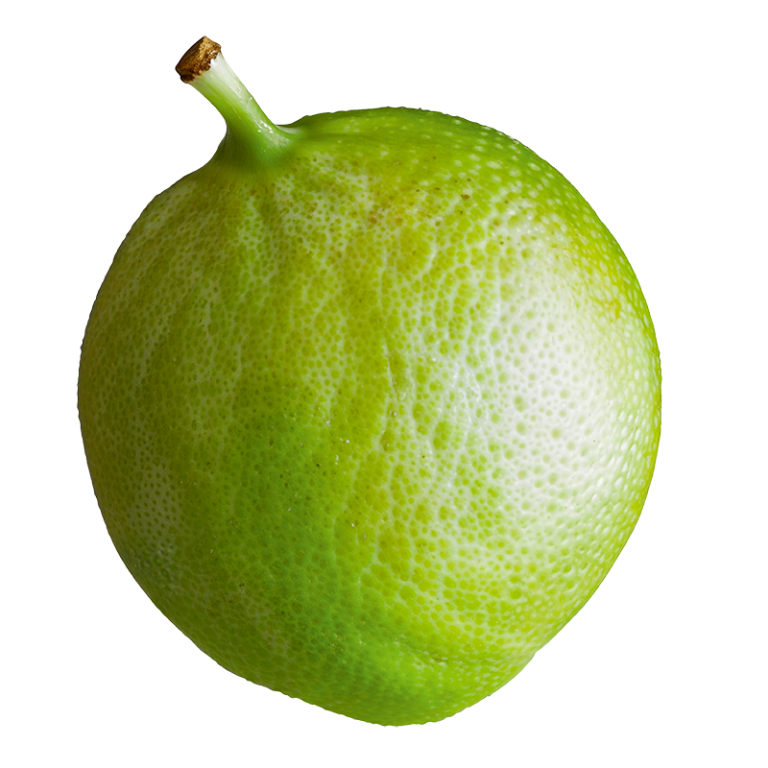 Archives des Citrus fruits - Capfruit