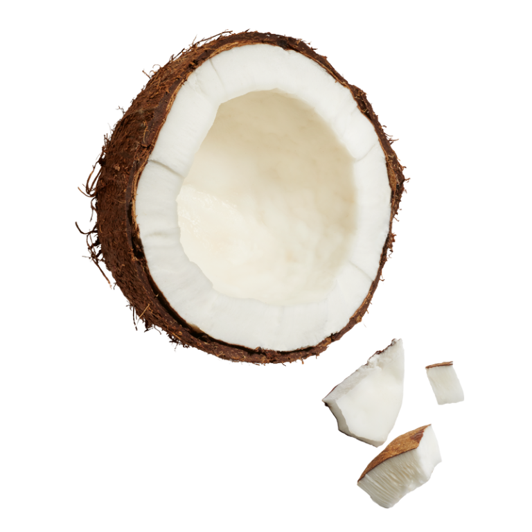Noix de coco - Capfruit