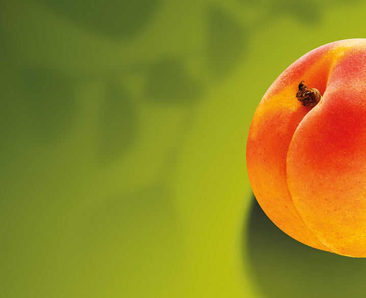 Committed from the land to the plate - Capfruit