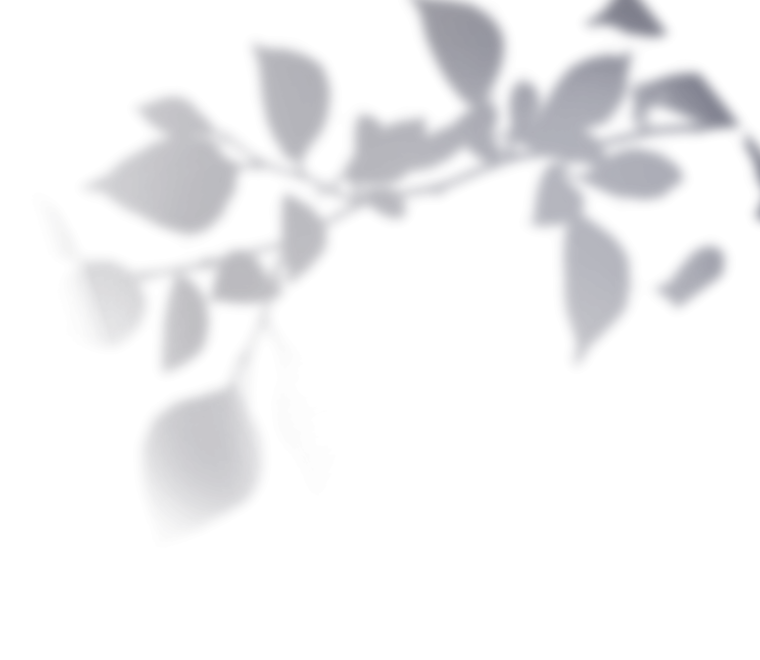 Archives des Our creations - Capfruit